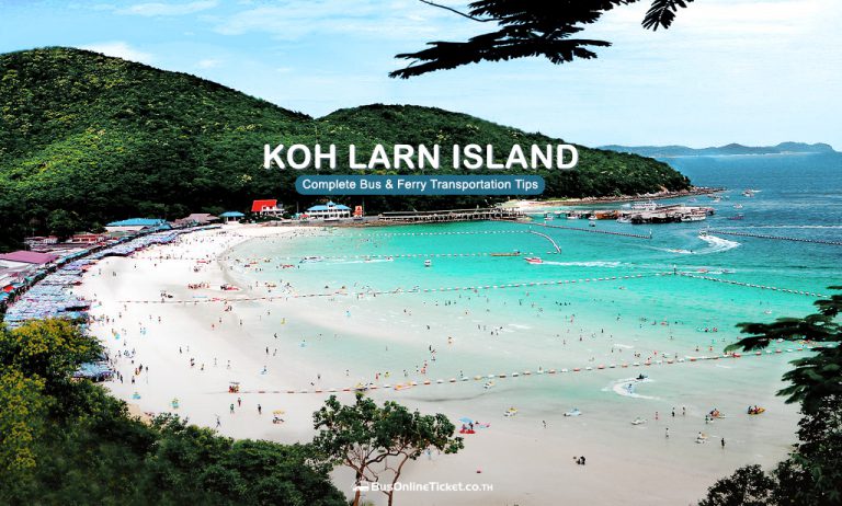 Koh Larn Island Travel Guide: Bus & Ferry Transportation Tips ...