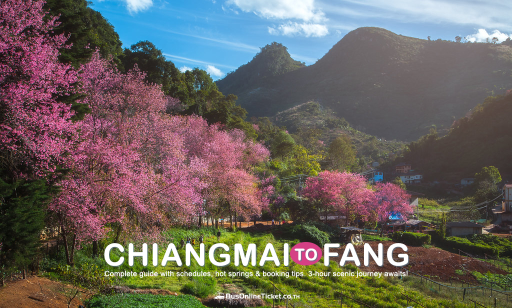 Chiang Mai to Fang Bus: Travel Guide, Schedule & Tickets ...