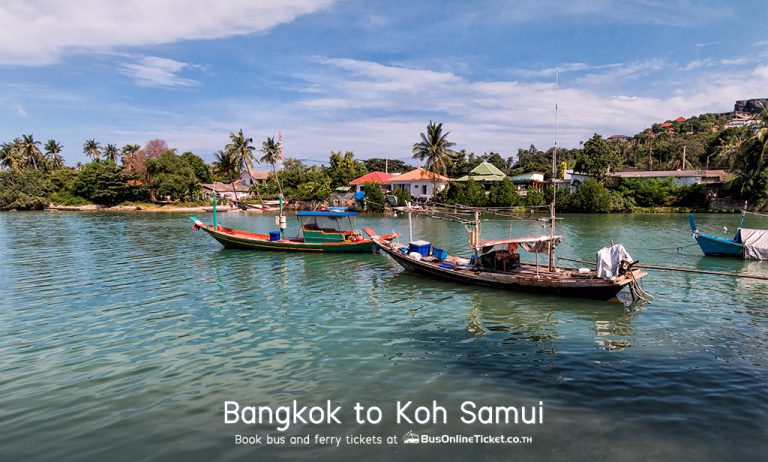Bangkok to Koh Samui Bus & Ferry | Schedule & Prices from ฿ 619 ...